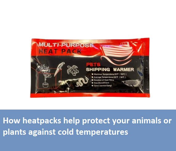 Heatpacks for safe shipping of reptiles and plants