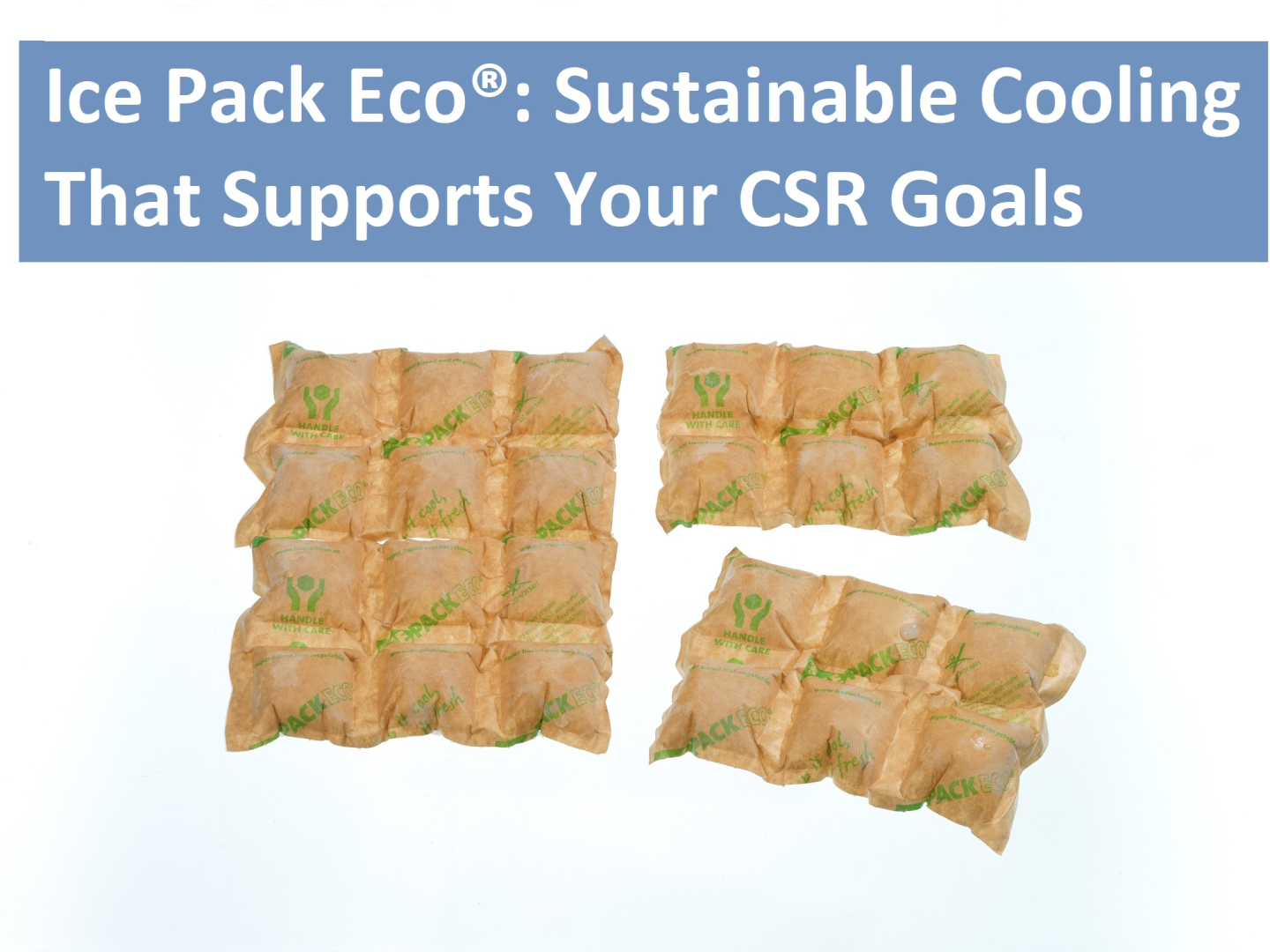 Ice Pack Eco®: Sustainable Cooling for Fresh Products | Inter Fresh ...